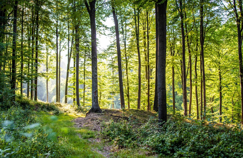Aktuality | zemědělská, lesnická a potravinářská knihovna